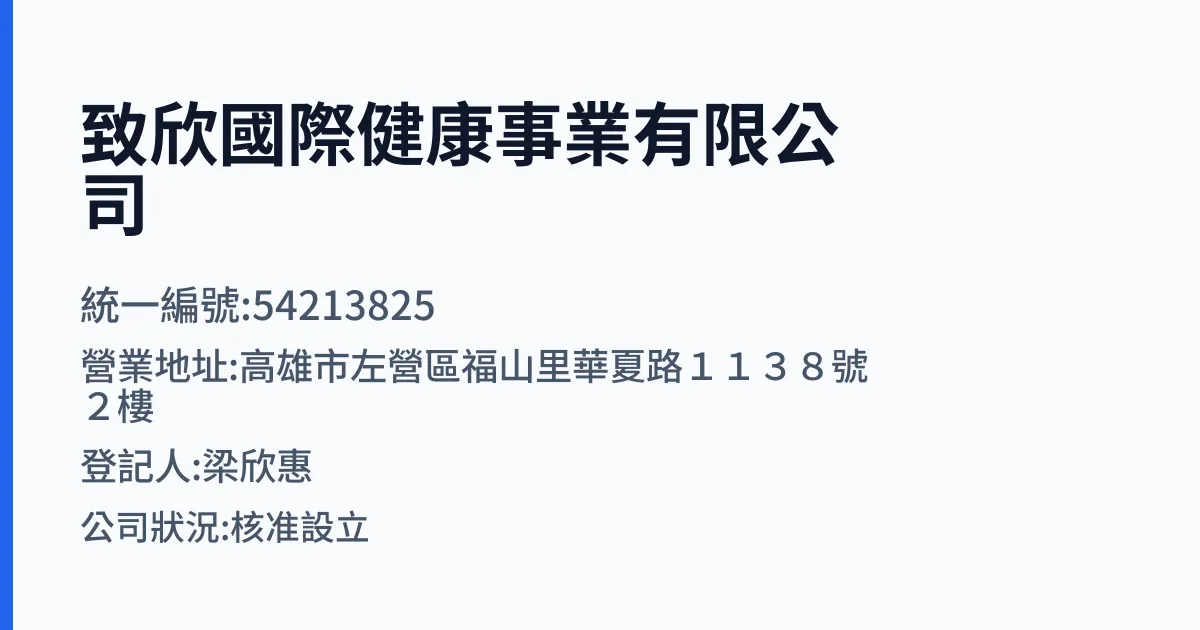 致欣國際健康事業有限公司 - 統編 54213825(高雄市) 公司登記資料與營業項目詳細圖表
