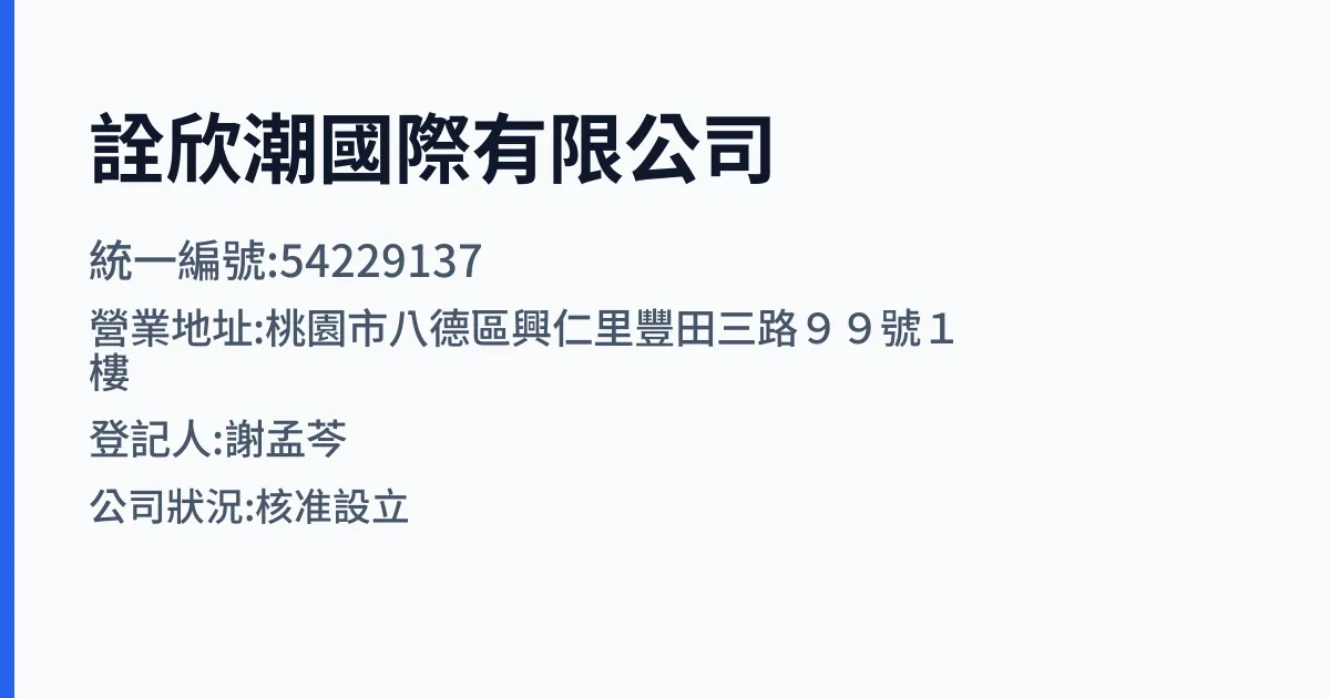 詮欣潮國際有限公司 - 統編 54229137(桃園市) 公司登記資料與營業項目詳細圖表