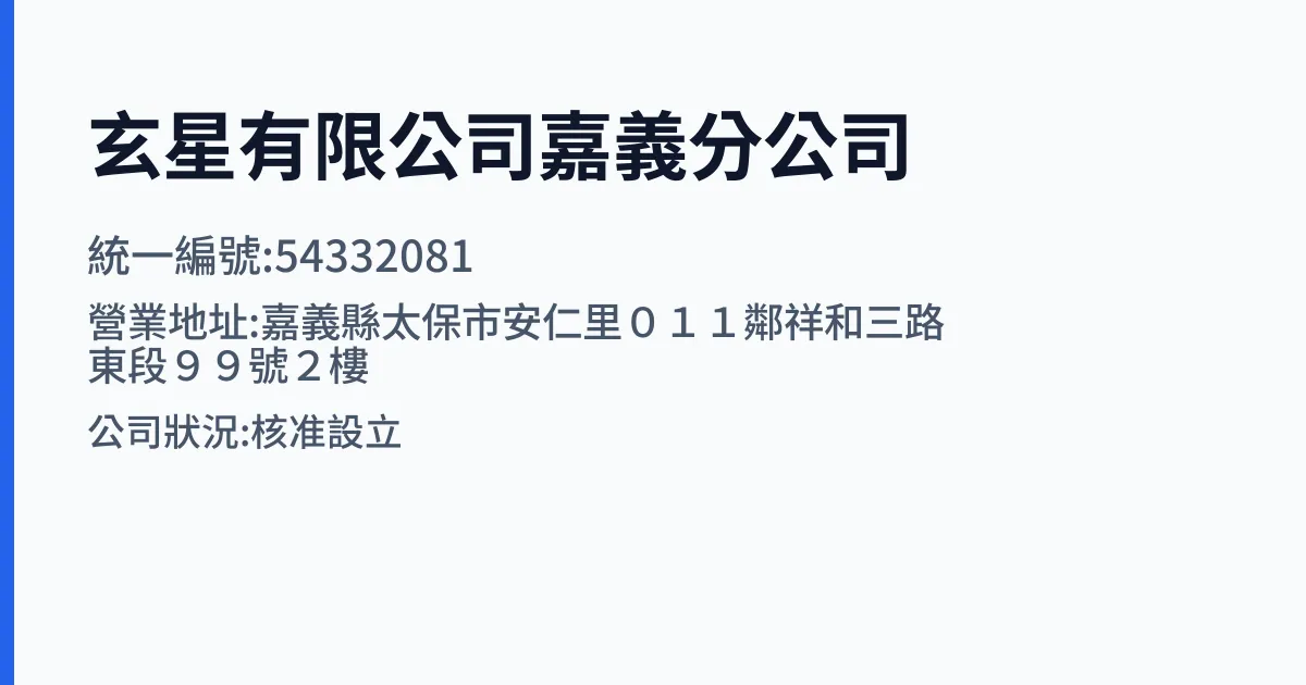 玄星有限公司嘉義分公司 - 統編 54332081(嘉義縣) 公司登記資料與營業項目詳細圖表