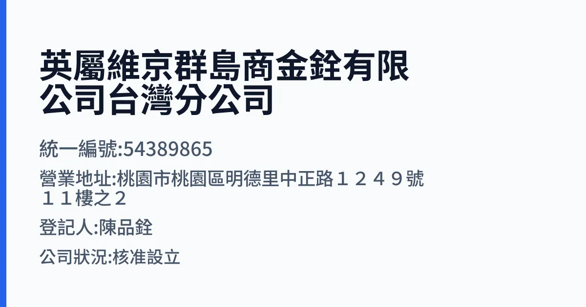 英屬維京群島商金銓有限公司台灣分公司 - 統編 54389865（桃園市） 公司登記資料與營業項目詳細圖表