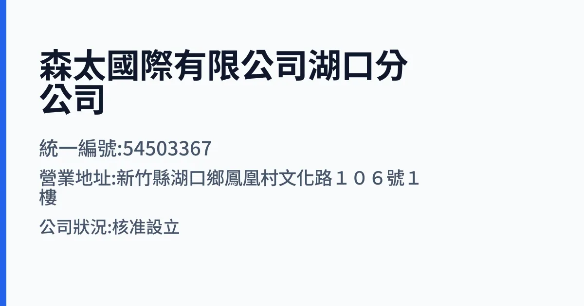 森太國際有限公司湖口分公司 - 統編 54503367(新竹縣) 公司登記資料與營業項目詳細圖表