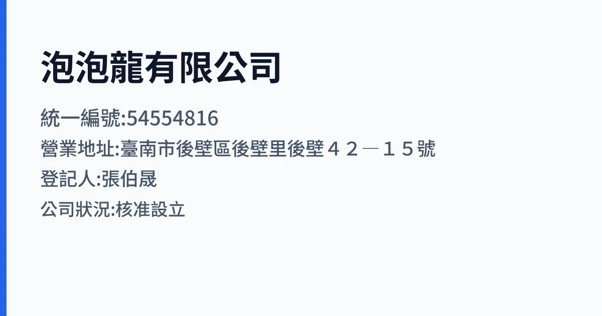 泡泡龍有限公司 - 統編 54554816(臺南市) 公司登記資料與營業項目詳細圖表