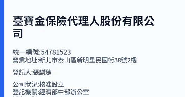 臺寶金保險代理人股份有限公司的照片-統編 54781523(新北市) 公司登記資料與營業項目詳細圖表