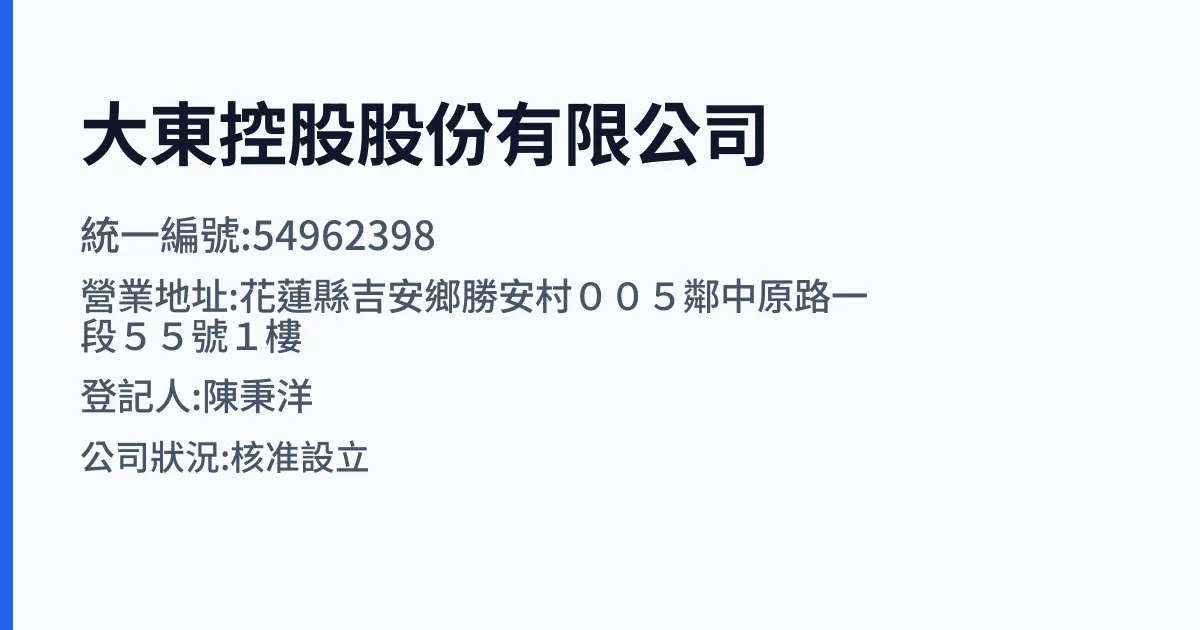 大東控股股份有限公司 - 統編 54962398(花蓮縣) 公司登記資料與營業項目詳細圖表