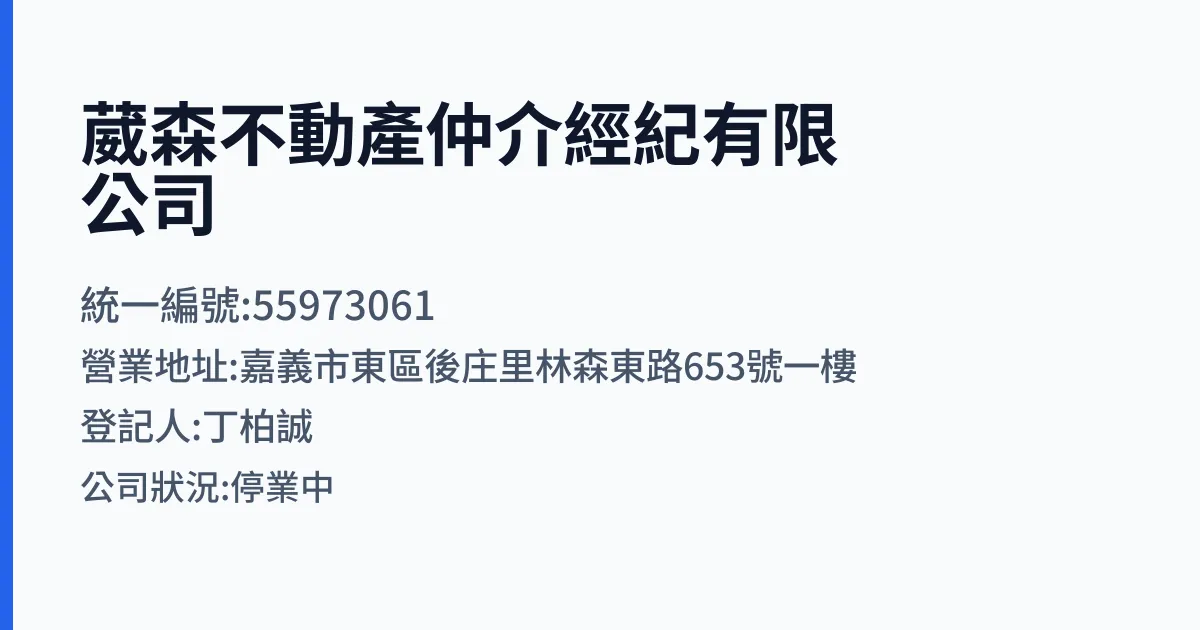 葳森不動產仲介經紀有限公司 - 統編 55973061(嘉義市) 公司登記資料與營業項目詳細圖表