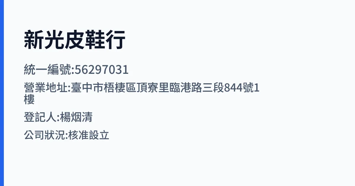 新光皮鞋行 - 統編 56297031(臺中市) 公司登記資料與營業項目詳細圖表