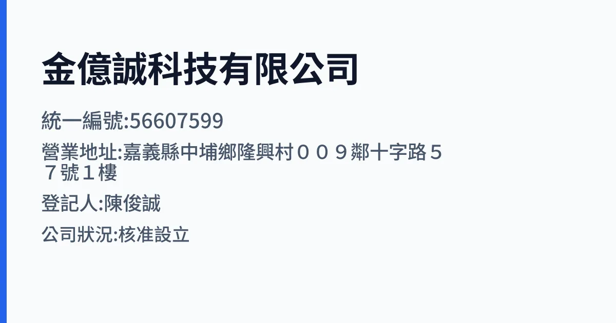 金億誠科技有限公司 - 統編 56607599(嘉義縣) 公司登記資料與營業項目詳細圖表