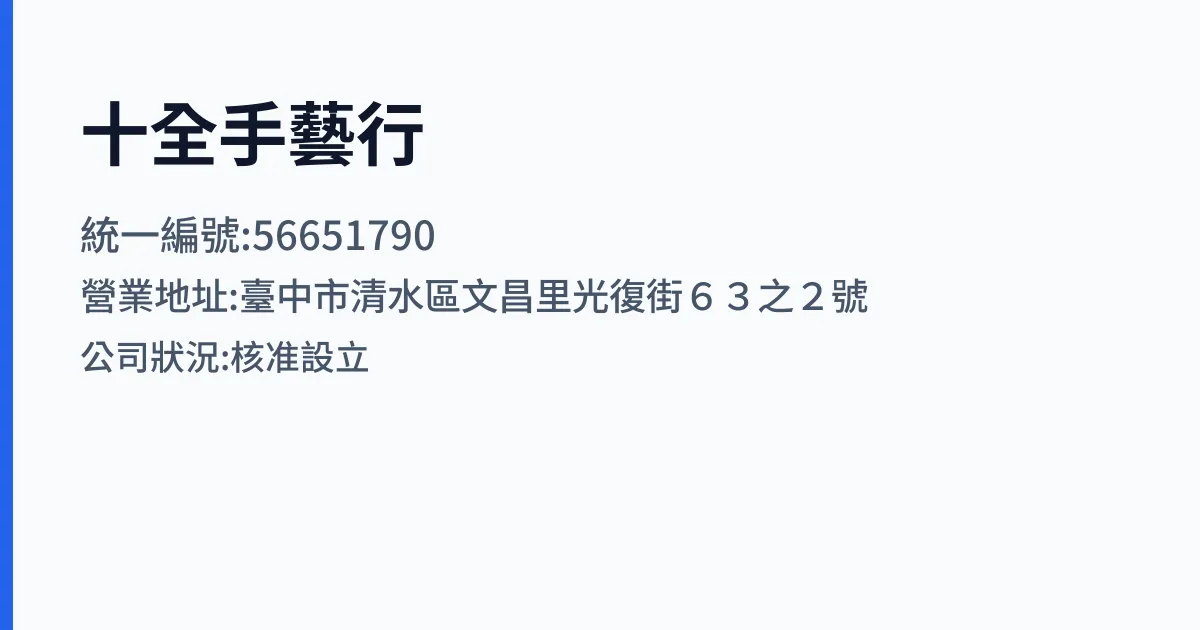 十全手藝行 - 統編 56651790(臺中市) 公司登記資料與營業項目詳細圖表