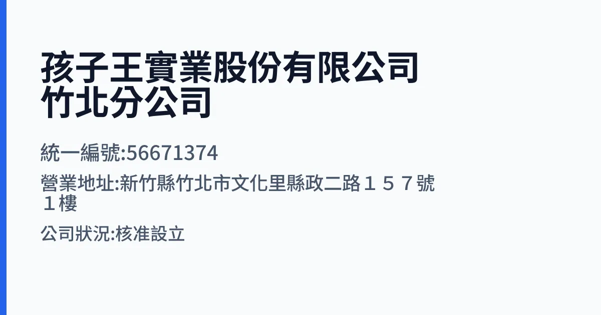 孩子王實業股份有限公司竹北分公司 - 統編 56671374（新竹縣） 公司登記資料與營業項目詳細圖表