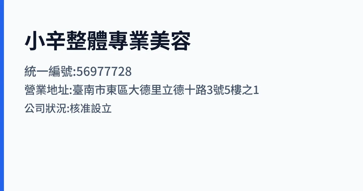 小辛整體專業美容 - 統編 56977728(臺南市) 公司登記資料與營業項目詳細圖表