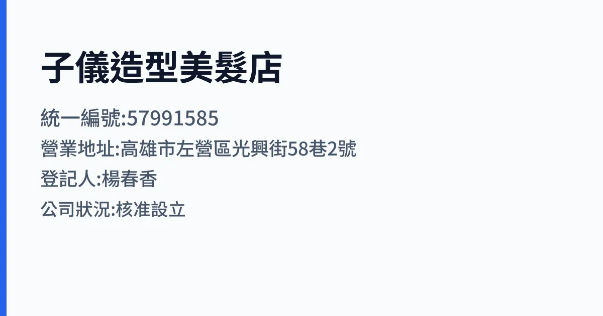 子儀造型美髮店 - 統編 57991585(高雄市) 公司登記資料與營業項目詳細圖表