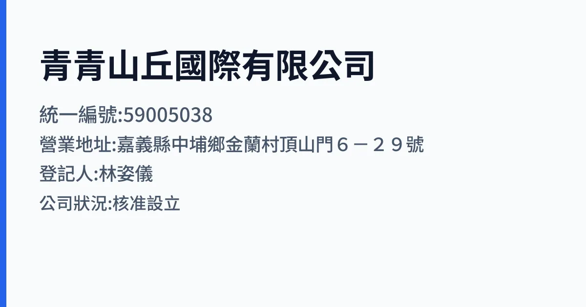 青青山丘國際有限公司 - 統編 59005038(嘉義縣) 公司登記資料與營業項目詳細圖表