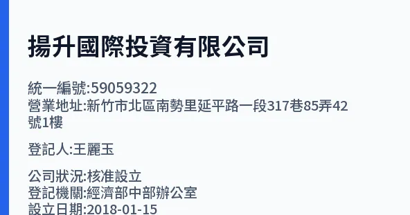 揚升國際投資有限公司的照片-統編 59059322(新竹市) 公司登記資料與營業項目詳細圖表
