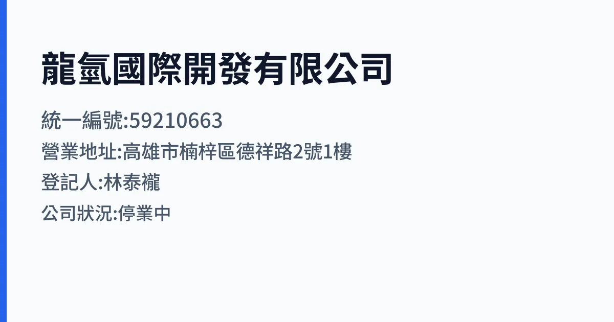 龍氫國際開發有限公司 - 統編 59210663(高雄市) 公司登記資料與營業項目詳細圖表