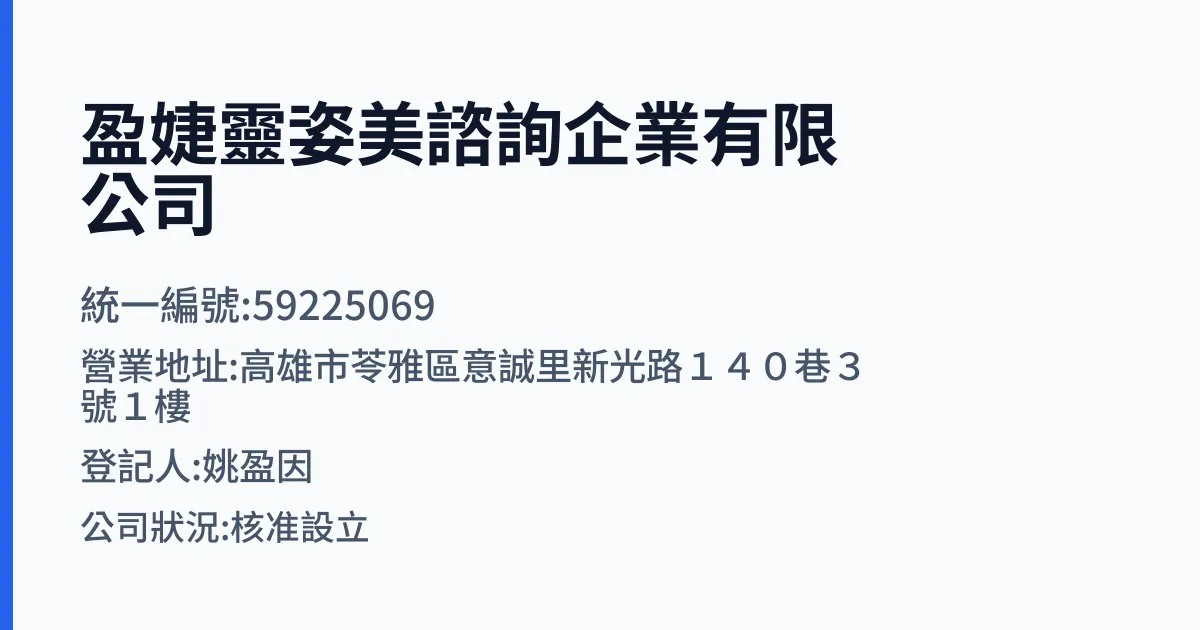 盈婕靈姿美諮詢企業有限公司 - 統編 59225069(高雄市) 公司登記資料與營業項目詳細圖表