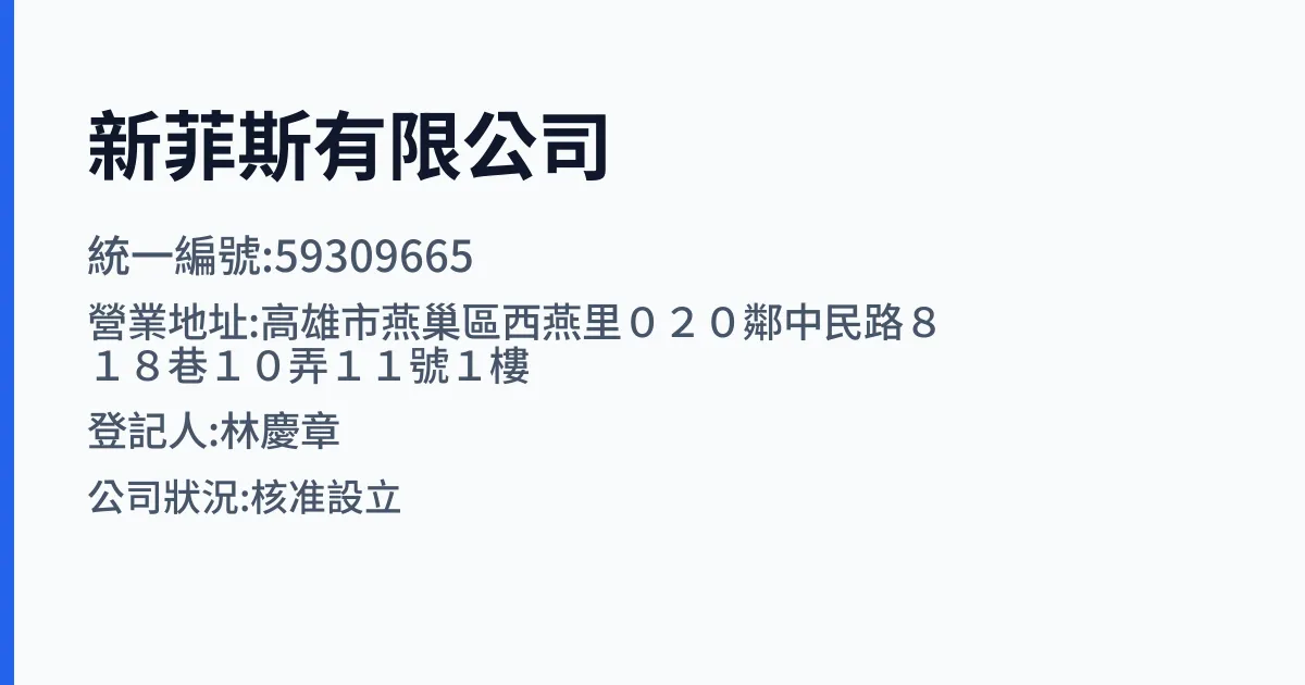 新菲斯有限公司 - 統編 59309665(高雄市) 公司登記資料與營業項目詳細圖表