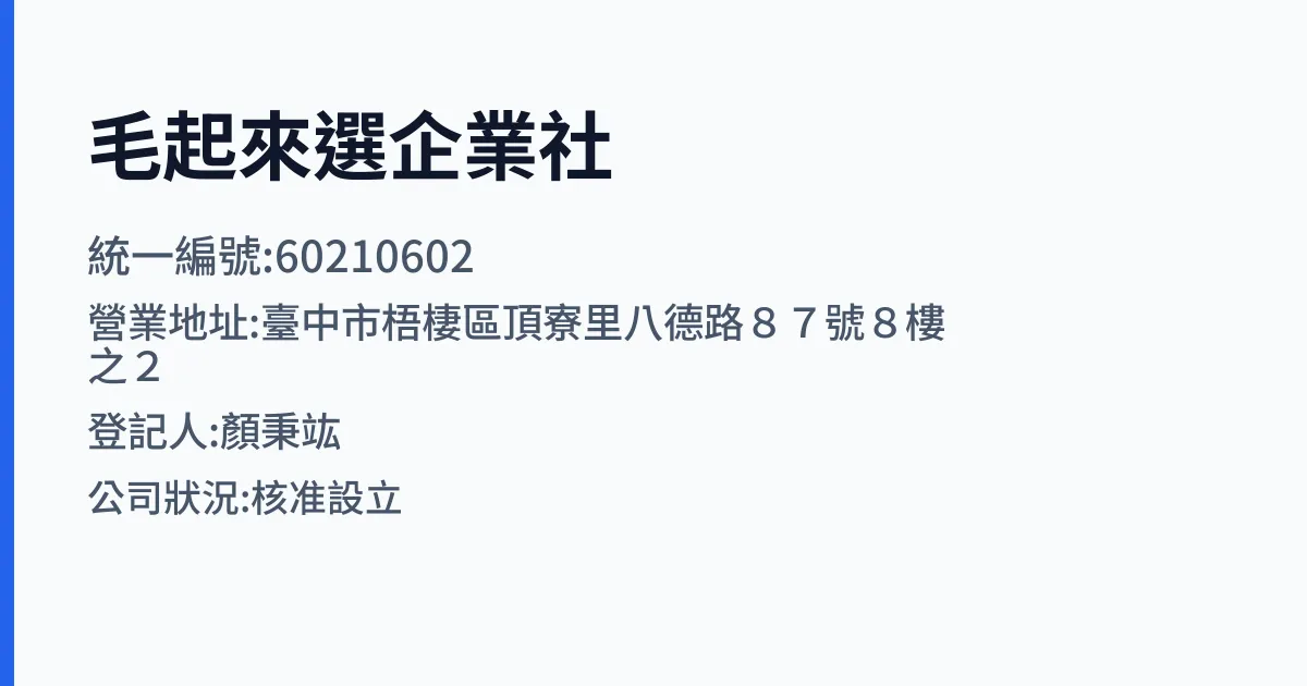 毛起來選企業社 - 統編 60210602(臺中市) 公司登記資料與營業項目詳細圖表