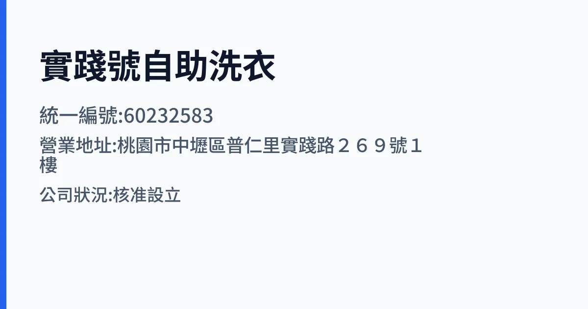 實踐號自助洗衣 - 統編 60232583(桃園市) 公司登記資料與營業項目詳細圖表