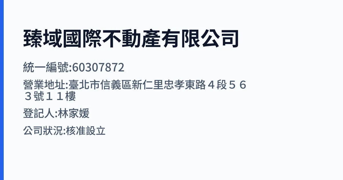 臻域國際不動產有限公司 - 統編 60307872(臺北市) 公司登記資料與營業項目詳細圖表