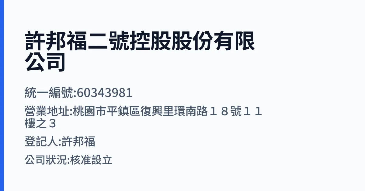 許邦福二號控股股份有限公司 - 統編 60343981(桃園市) 公司登記資料與營業項目詳細圖表