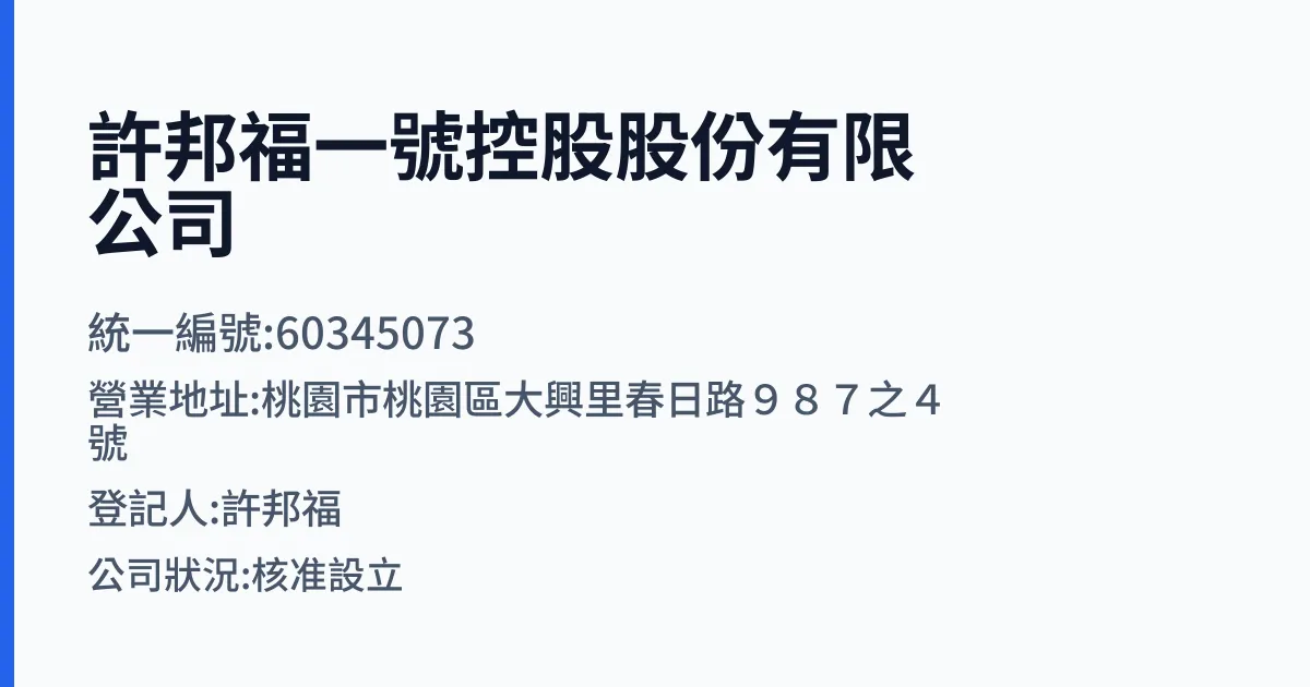 許邦福一號控股股份有限公司 - 統編 60345073(桃園市) 公司登記資料與營業項目詳細圖表