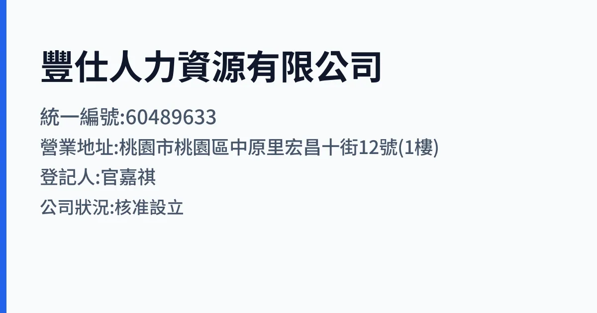 豐仕人力資源有限公司 - 統編 60489633(桃園市) 公司登記資料與營業項目詳細圖表