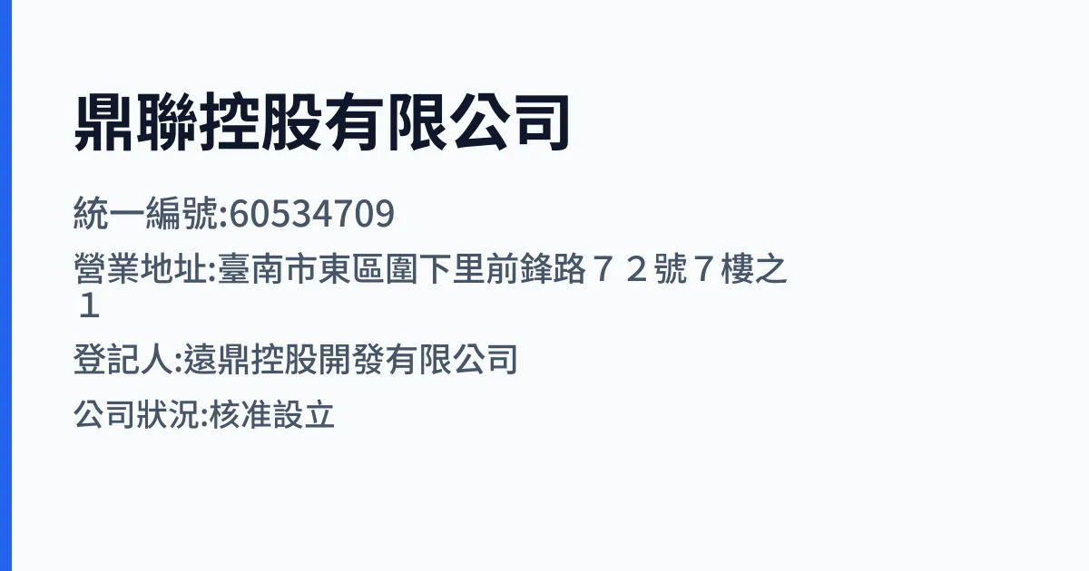 鼎聯控股有限公司 - 統編 60534709(臺南市) 公司登記資料與營業項目詳細圖表