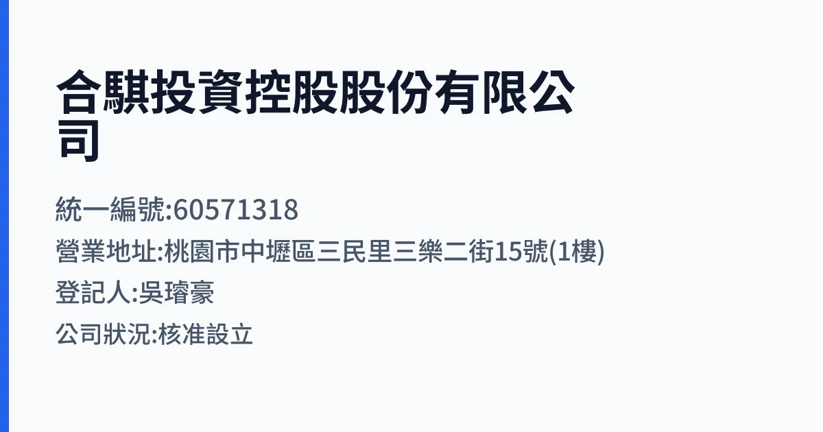 合騏投資控股股份有限公司 - 統編 60571318(桃園市) 公司登記資料與營業項目詳細圖表