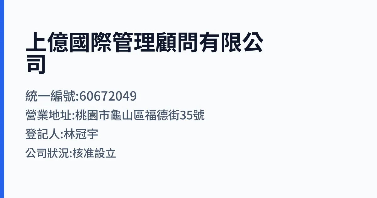 上億國際管理顧問有限公司 - 統編 60672049(桃園市) 公司登記資料與營業項目詳細圖表
