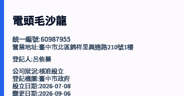 電頭毛沙龍的照片-統編 60987955(臺中市) 公司登記資料與營業項目詳細圖表