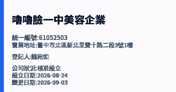 嚕嚕臉一中美容企業的照片-統編 61052503(臺中市) 公司登記資料與營業項目詳細圖表