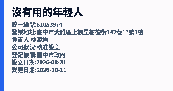 沒有用的年輕人的照片-統編 61053974(臺中市) 公司登記資料與營業項目詳細圖表