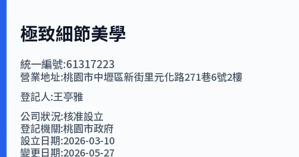 極致細節美學的照片-統編 61317223(桃園市) 公司登記資料與營業項目詳細圖表