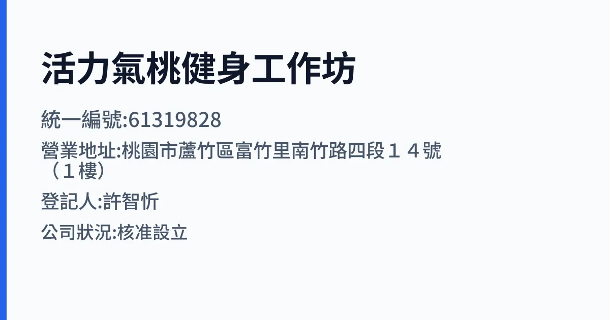 活力氣桃健身工作坊 - 統編 61319828(桃園市) 公司登記資料與營業項目詳細圖表