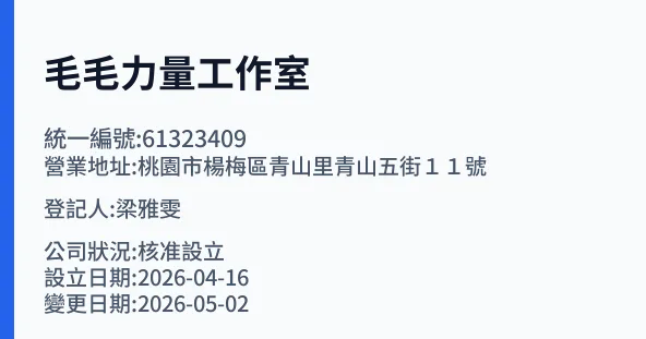 毛毛力量工作室的照片-統編 61323409(桃園市) 公司登記資料與營業項目詳細圖表