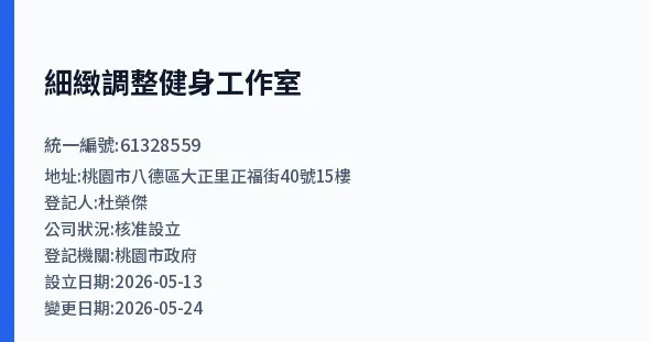 細緻調整健身工作室的照片-統編 61328559(桃園市) 公司登記資料與營業項目詳細圖表