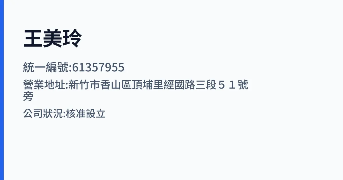 王美玲 - 統編 61357955(新竹市) 公司登記資料與營業項目詳細圖表