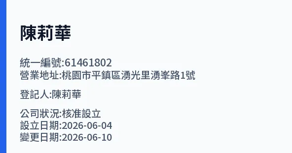 陳莉華的照片-統編 61461802(桃園市) 公司登記資料與營業項目詳細圖表