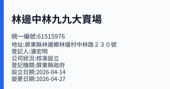 林邊中林九九大賣場的照片-統編 61515976(屏東縣) 公司登記資料與營業項目詳細圖表