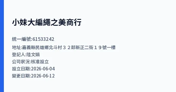 小妹大編繩之美商行的照片-統編 61533242(嘉義縣) 公司登記資料與營業項目詳細圖表