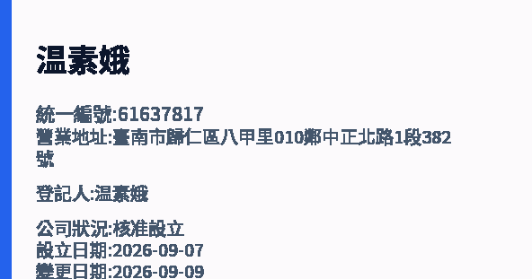 温素娥的照片-統編 61637817(臺南市) 公司登記資料與營業項目詳細圖表