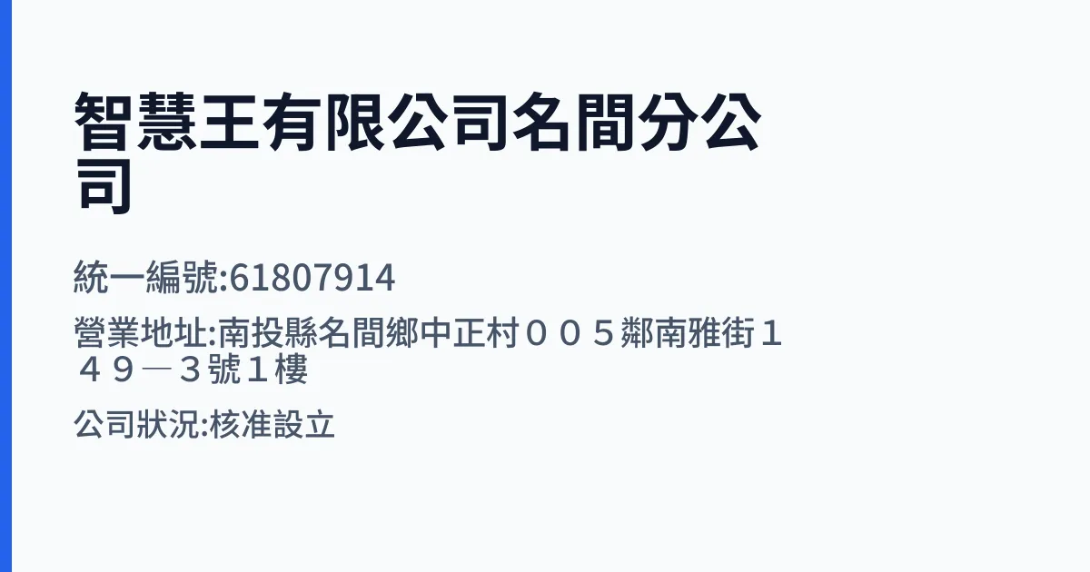智慧王有限公司名間分公司 - 統編 61807914(南投縣) 公司登記資料與營業項目詳細圖表