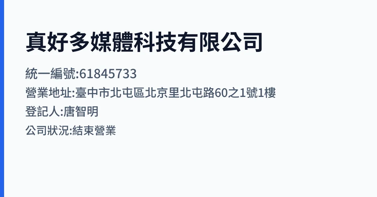 真好多媒體科技有限公司 - 統編 61845733(臺中市) 公司登記資料與營業項目詳細圖表