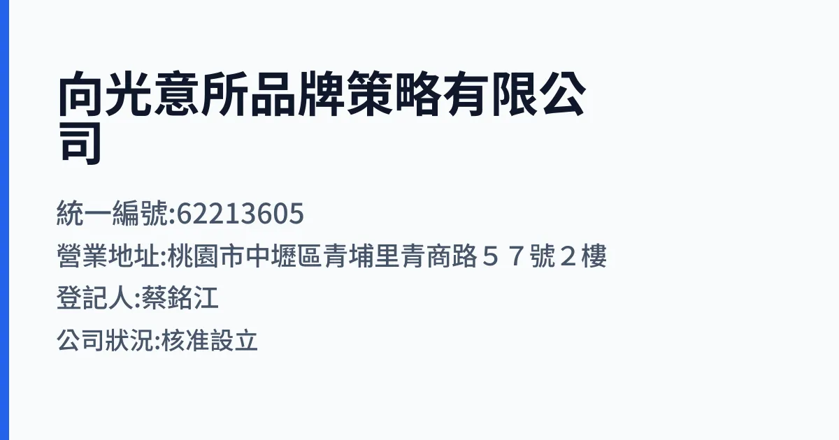向光意所品牌策略有限公司 - 統編 62213605(桃園市) 公司登記資料與營業項目詳細圖表