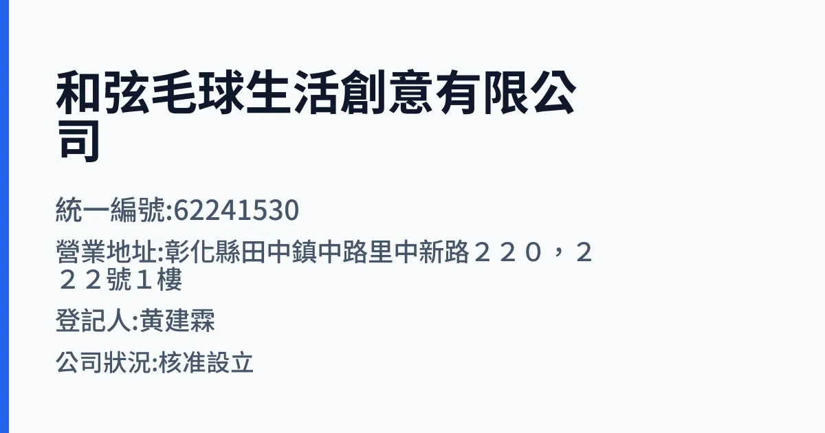 和弦毛球生活創意有限公司 - 統編 62241530(彰化縣) 公司登記資料與營業項目詳細圖表