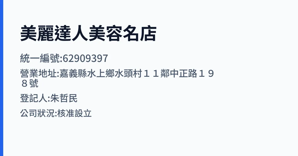 美麗達人美容名店 - 統編 62909397(嘉義縣) 公司登記資料與營業項目詳細圖表