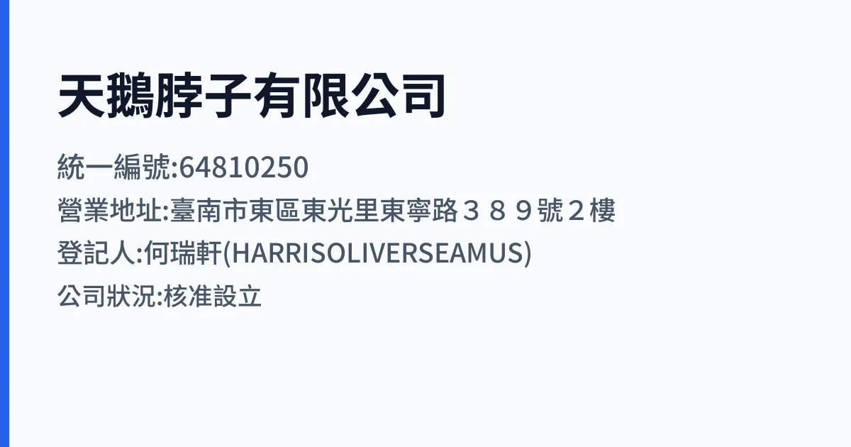 天鵝脖子有限公司 - 統編 64810250(臺南市) 公司登記資料與營業項目詳細圖表