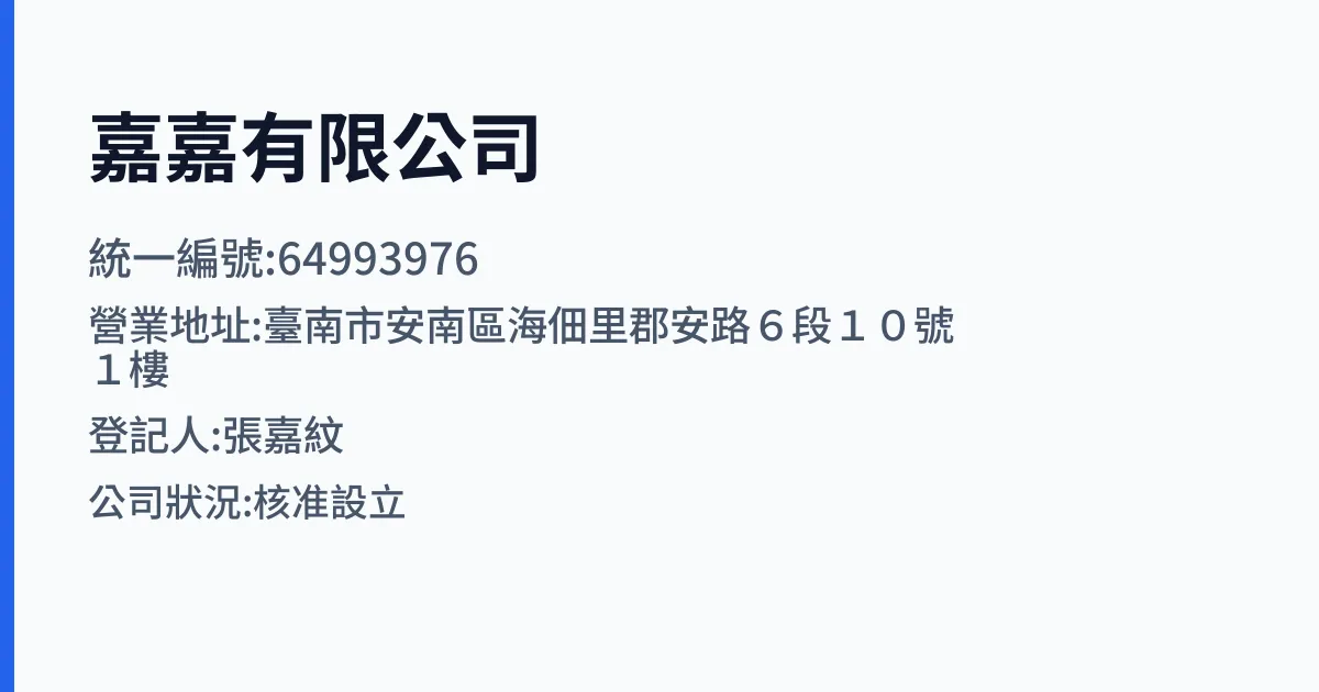 嘉嘉有限公司 - 統編 64993976(臺南市) 公司登記資料與營業項目詳細圖表
