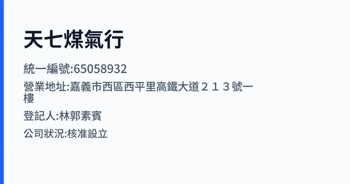天七煤氣行 - 統編 65058932(嘉義市) 公司登記資料與營業項目詳細圖表