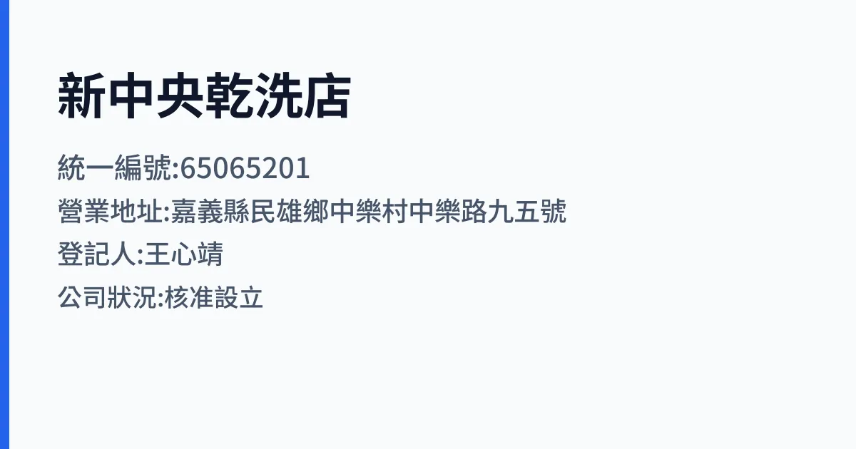 新中央乾洗店 - 統編 65065201(嘉義縣) 公司登記資料與營業項目詳細圖表